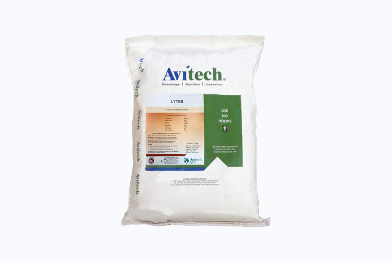 Lytes | Avitech Nutrition